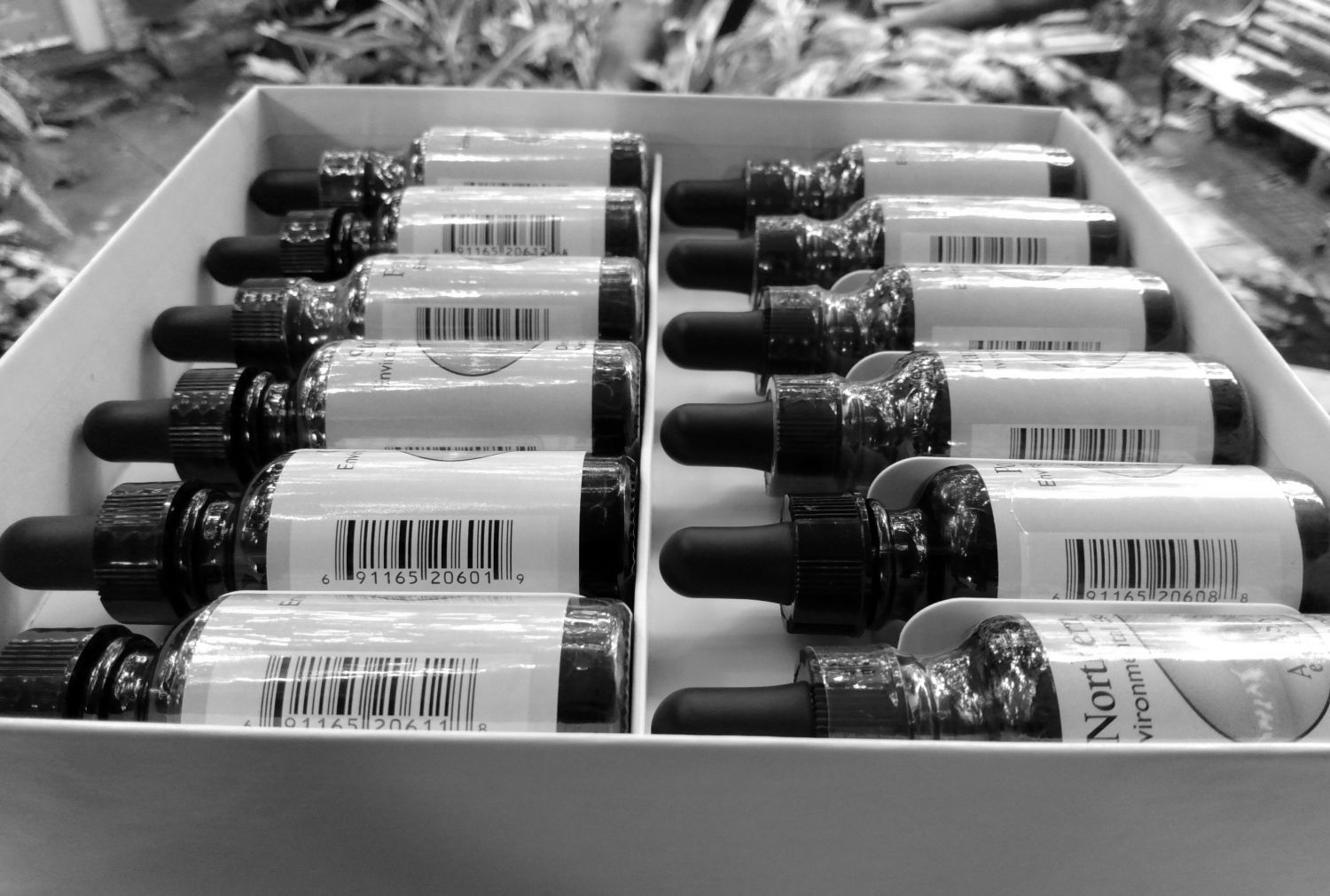 Flower Essences – Hearts Communicate